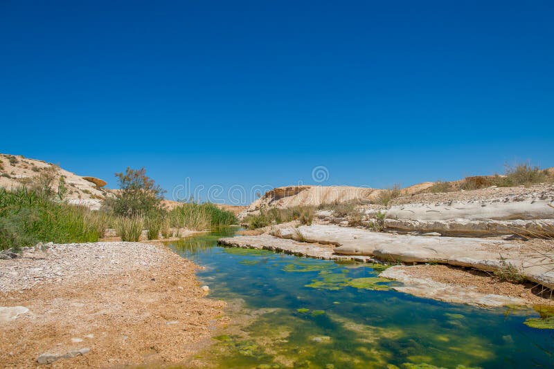 Agua En El Desierto De Negev Foto de archivo - Imagen de barranca ...