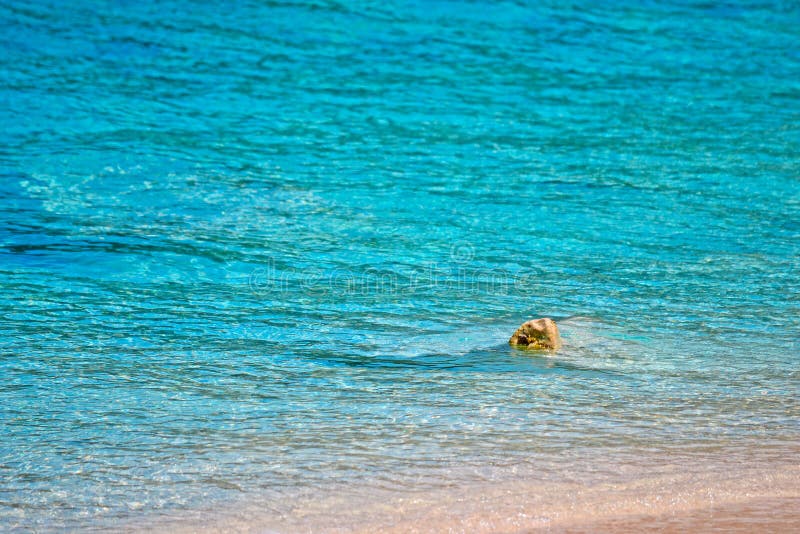Agua en la roca imagen de archivo. Imagen de playa, marejada - 42342871
