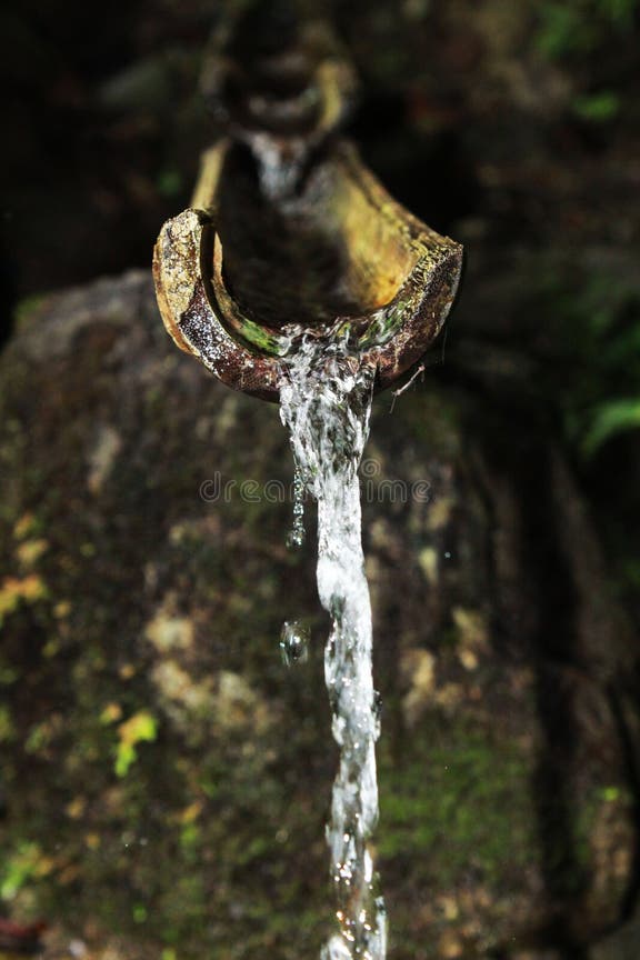 Agua mineral imagen de archivo. Imagen de coco, limpio - 104753947