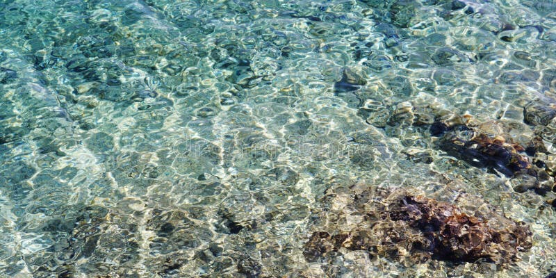 Agua transparente imagen de archivo. Imagen de travieso - 26862293