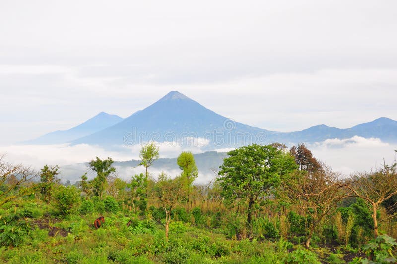 Agua Volcano, Guatemala stock photo. Image of guatemala - 16415952