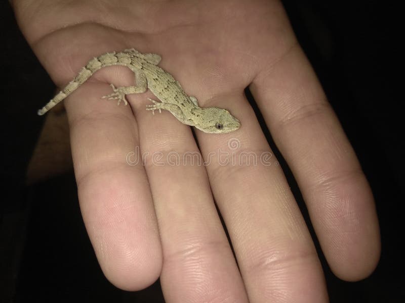 Ahah Stock Photos - Free & Royalty-Free Stock Photos from Dreamstime