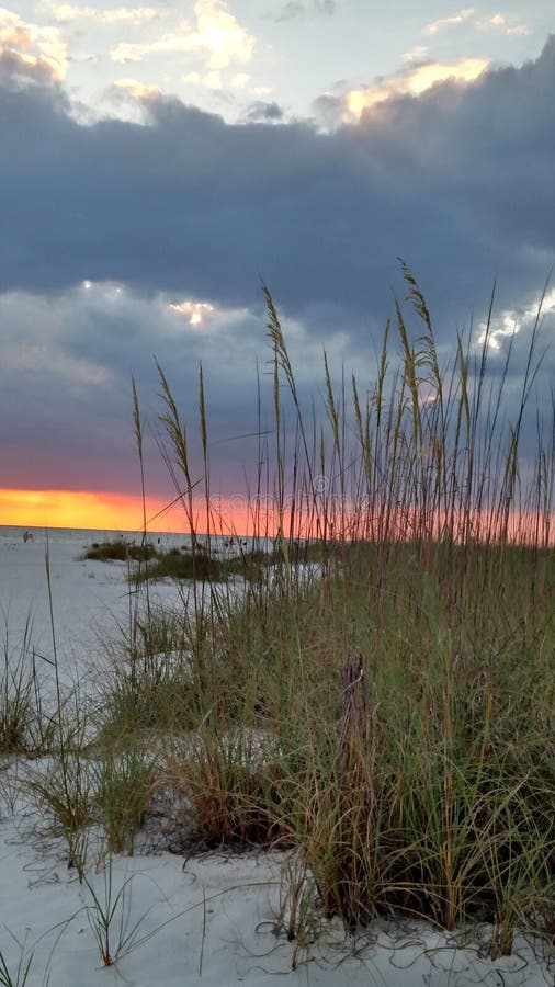 Say Ahhh stock image. Image of whale, orca, captive, looking - 3543079