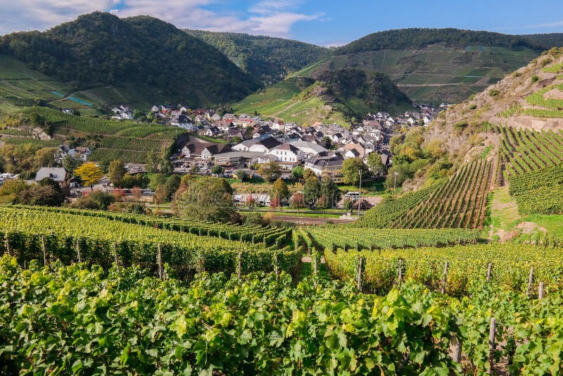 Vineyards In The Ahr Valley Stock Photo - Image of mayschoss, interest ...