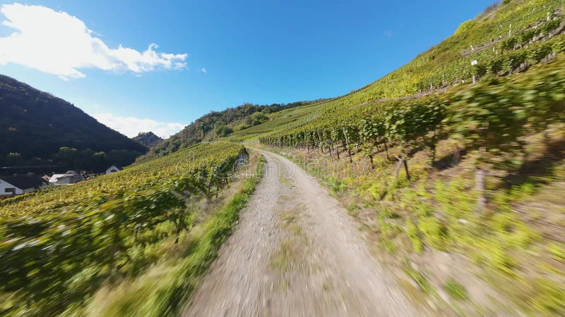 Aerial Drone View on Montclair Castle, on the Mountain in the ...