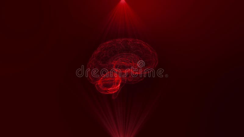 AI. Animated Three-dimensional Model of the Brain in the Rays of Red ...