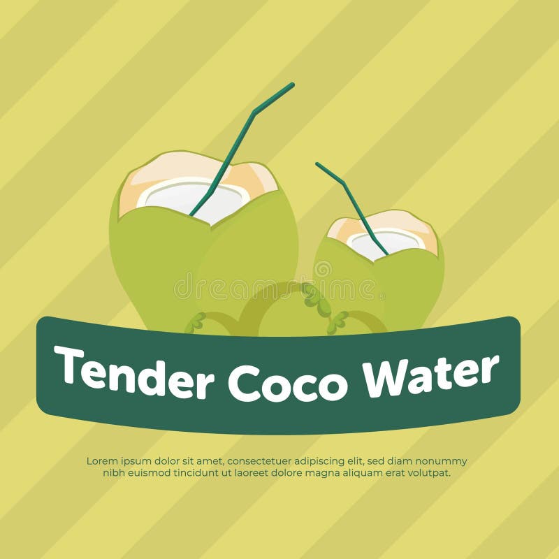 Tender Coco Water Summer Banner Design Stock Vector - Illustration of ...