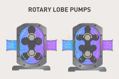 Labeled Tri Lobe Rotors Stock Illustrations – 1 Labeled Tri Lobe Rotors ...