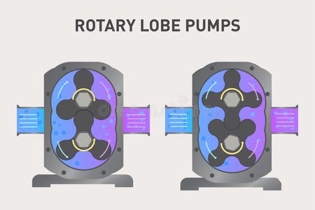 Labeled Tri Lobe Rotors Stock Illustrations – 1 Labeled Tri Lobe Rotors ...