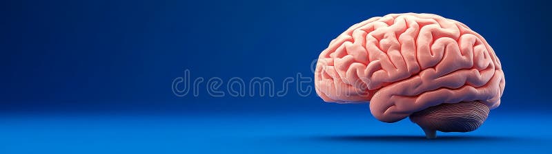 AI-Enhanced Diagnostics for Modern Health Screening Methods Stock Image ...