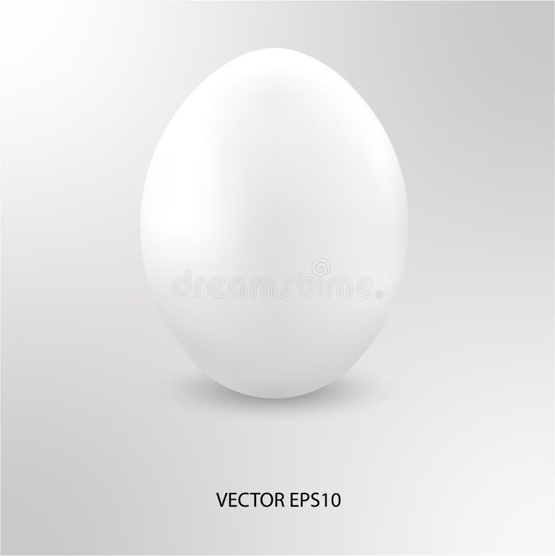 White Realistic Egg. Chicken Egg with Shadow. Vector Illustration ...