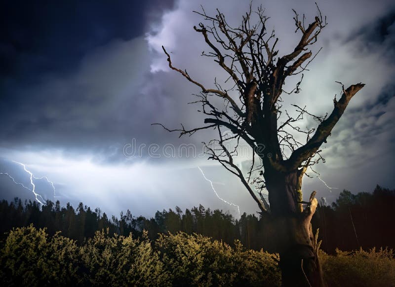 A Lightning Strike is Visible in the Sky Over the Tree Stock ...