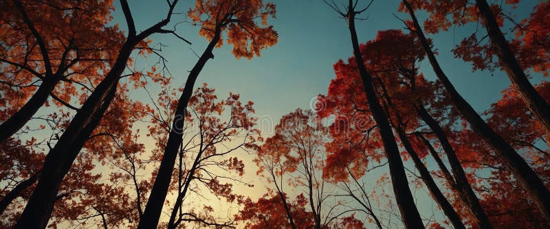 AI Generated Illustration of a Hyper-realistic Forest Scene with Lush ...