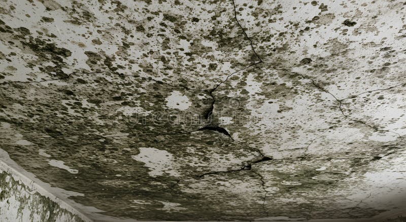 Severe Mold and Damp Water Damage on a Cracked Ceiling Stock Image ...