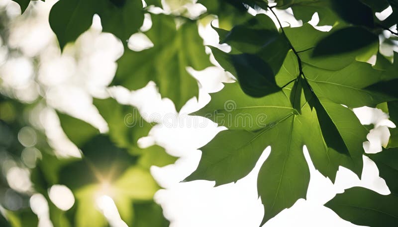 AI-generated Illustration of Sunlight Filtering through Tree Branches ...