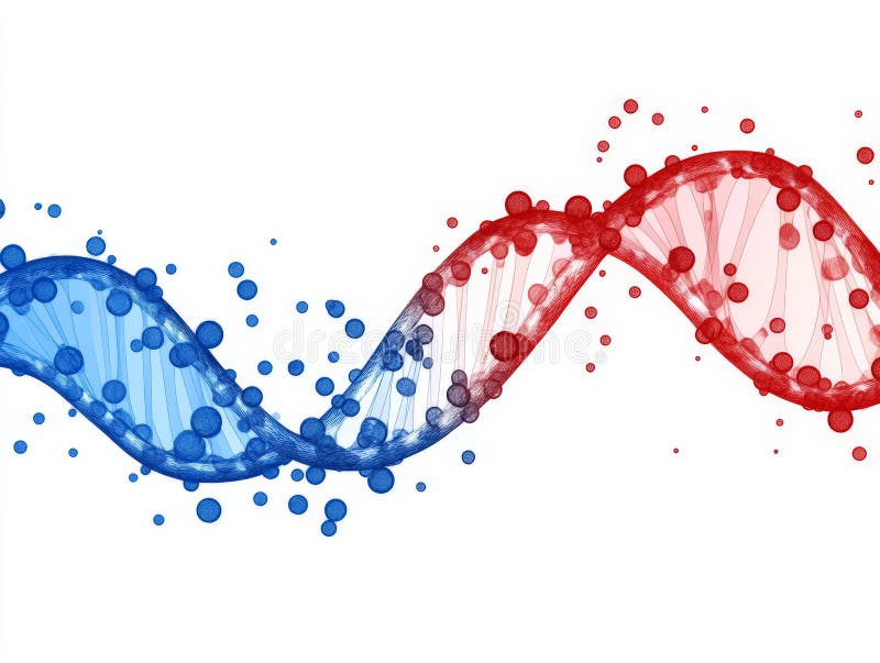 Vibrant Illustration of Interlocking Red Blue DNA Strands Molecular ...