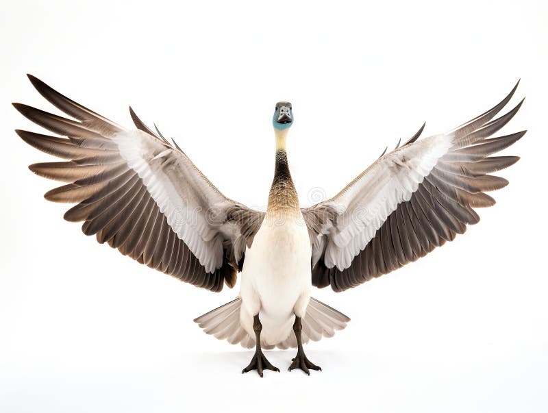 Ai Generated Illustration Wildlife Concept of Canadian Goose Stock ...