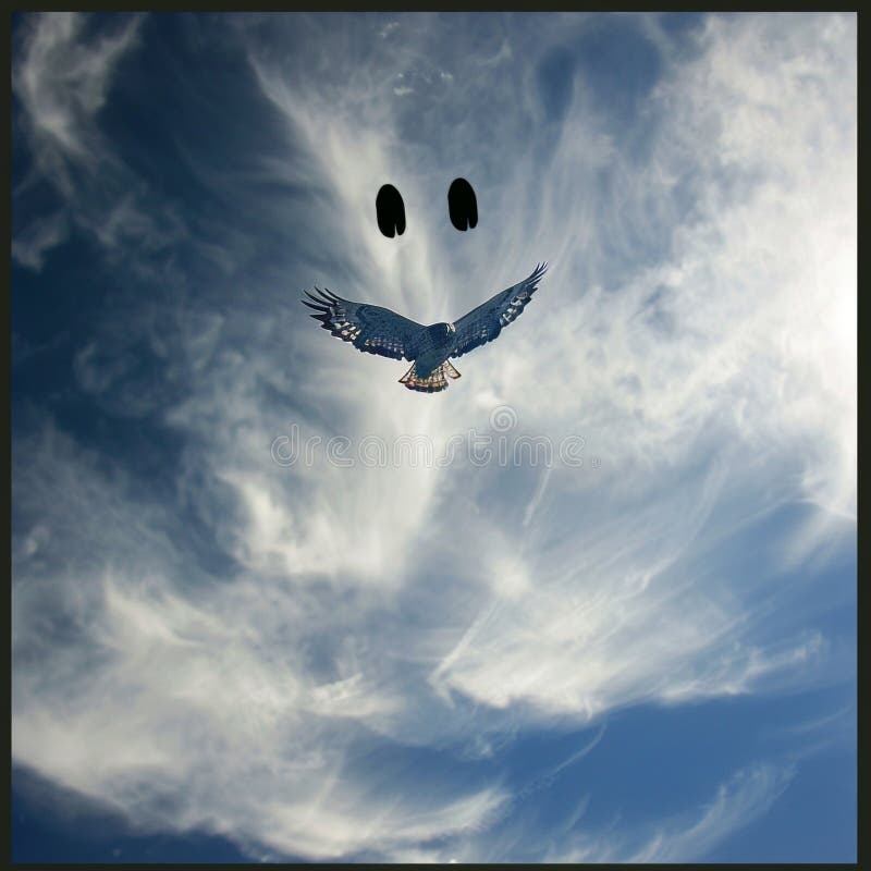 Smiley Face with a Hawk Circling in the Sky Stock Illustration ...