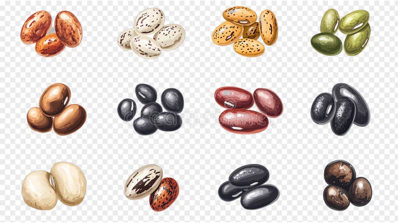 Different Beans set stock illustration. Illustration of fiber - 341515329