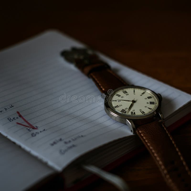 AI-Generated Image: Elegant Diary for Notes and Planning Stock ...