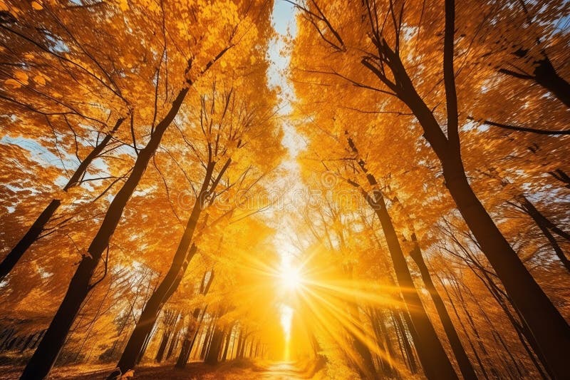 a fall dreamy landscape stock illustration. Illustration of fall ...