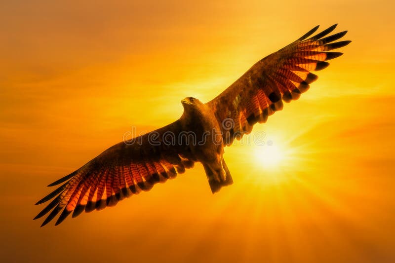 Generated Majestic Golden Eagle Stock Illustrations – 1,508 Generated Majestic Golden Eagle ...
