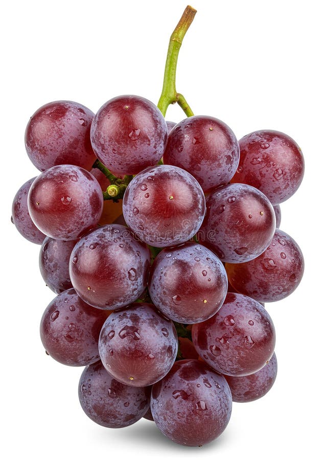 Imson Delight: AI-Generated Grape Bunch Stock Image - Image of impression, freshness: 371565871