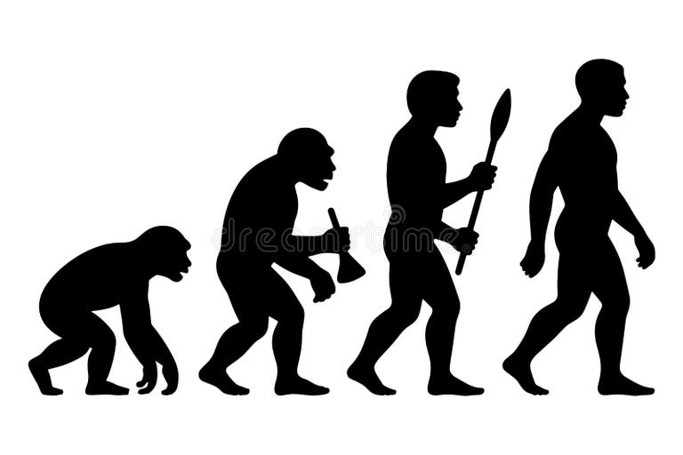 Human Evolution Progression Stages Primitive To Modern Concept Stock ...