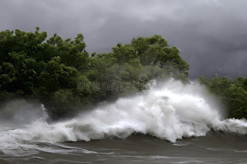 Big Waves Hit Trees on the Shore Stock Illustration - Illustration of ...