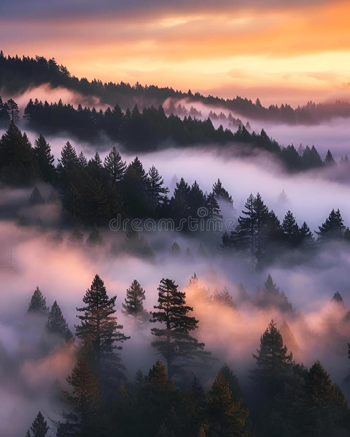 AI-generated Mesmerizing View of a Foggy Forest at Sunrise with Layers ...