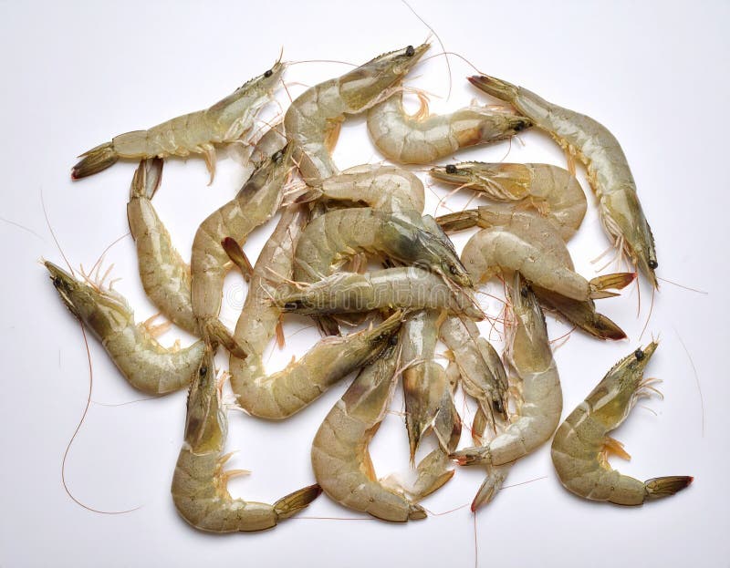 AI Generated Top View of Fresh Whole Tiny River Shrimp with Translucent ...