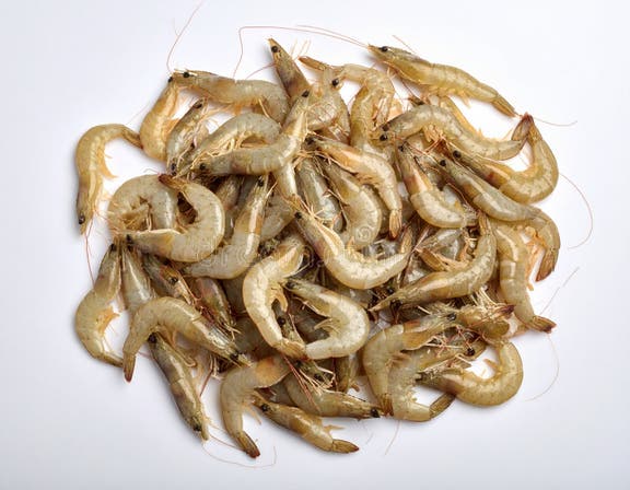 AI Generated Top View of Fresh Whole Tiny River Shrimp with Translucent ...