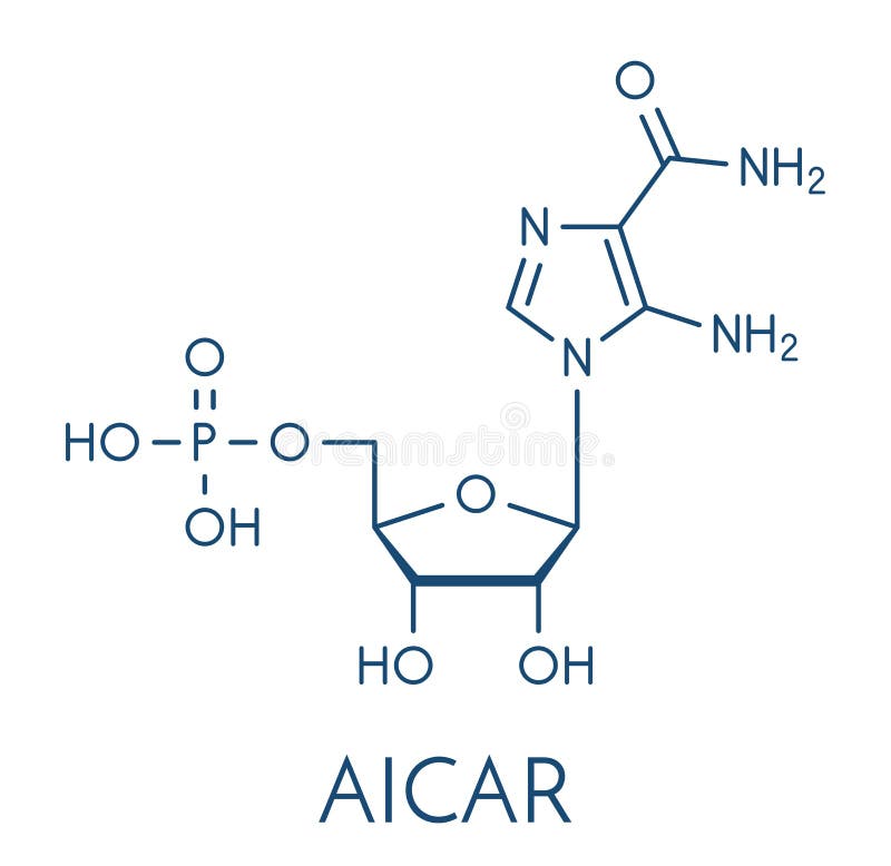 AICA Ribonucleotide, AICAR Molecule. it is Aminoimidazole ...