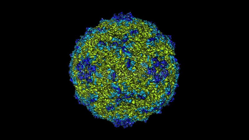 Aichi Virus 1- Empty Particle Stock Footage - Video of health ...