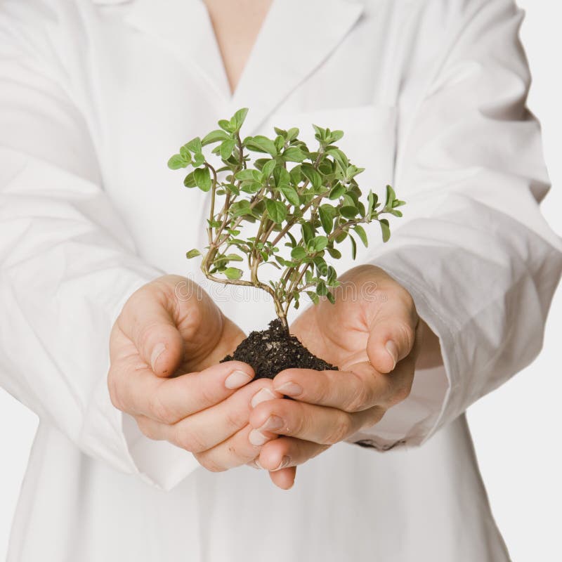 Aiding Health stock photo. Image of caucasian, holding - 9159668