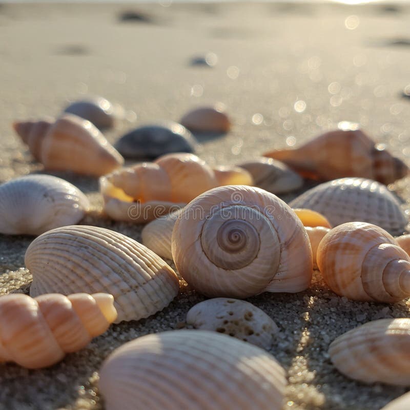 Aigenerated stock illustration. Illustration of soil - 376862833