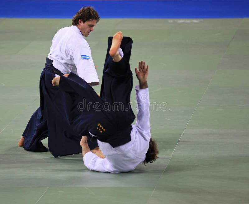 Aikido Throw editorial stock image. Image of festival - 18129054