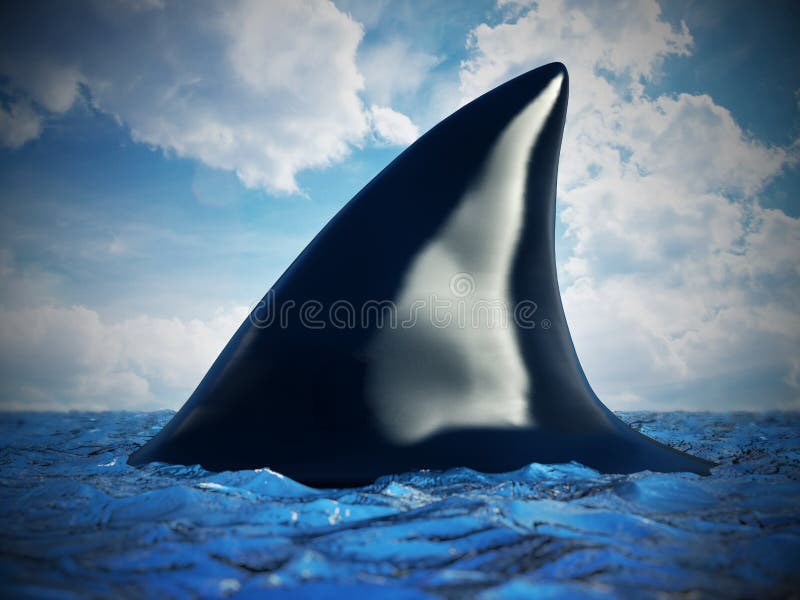 Illustration D'aileron De Requin Illustration Stock - Illustration du ...