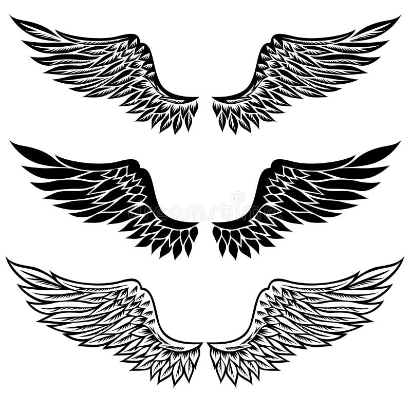 Ailes illustration de vecteur. Illustration du aigle - 60325596