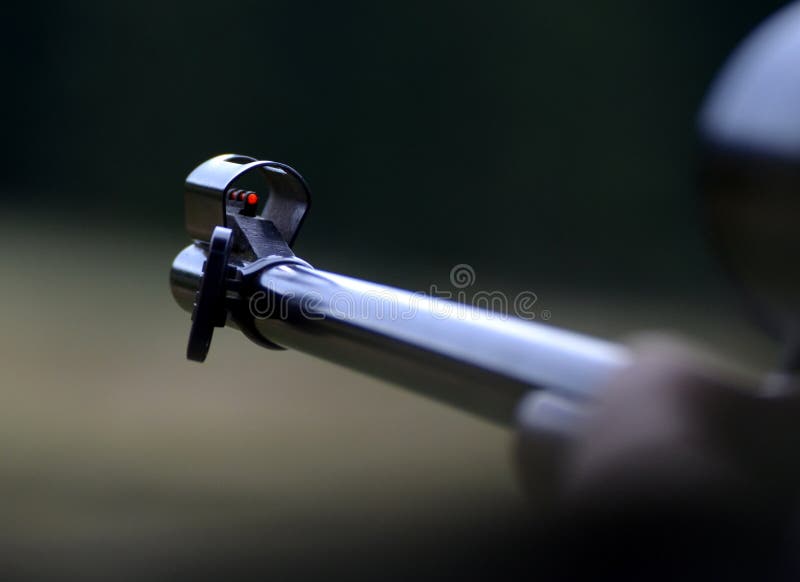 Aiming the rifle stock photo. Image of sights, hunt, steel - 60219634