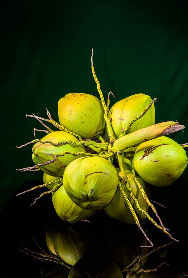 Ainda Fruto Do Coco Da Carne Da Vida Foto de Stock - Imagem de doce ...
