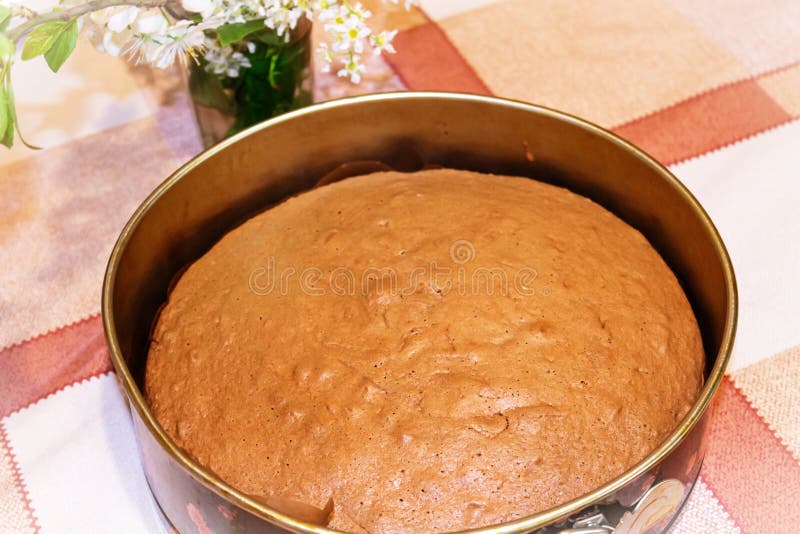 An Air Biscuit. Very Tasty Chocolate Biscuit Close-up Stock Image ...