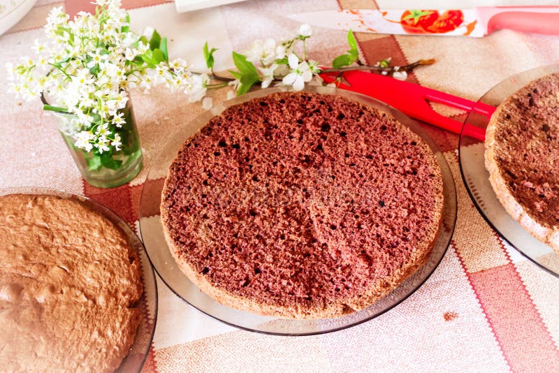 An Air Biscuit. Very Tasty Chocolate Biscuit Close-up Stock Photo ...