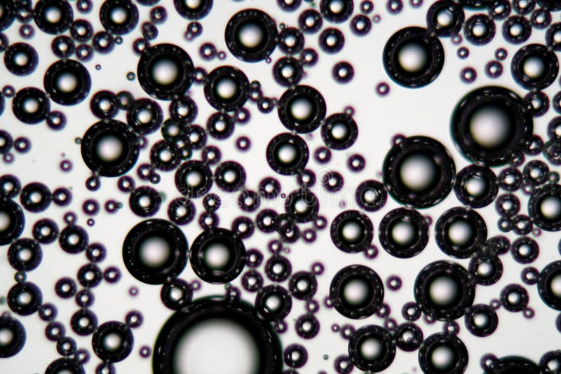 Air Bubbles in an Surfactant Fluid Under a Microscope Stock Photo ...