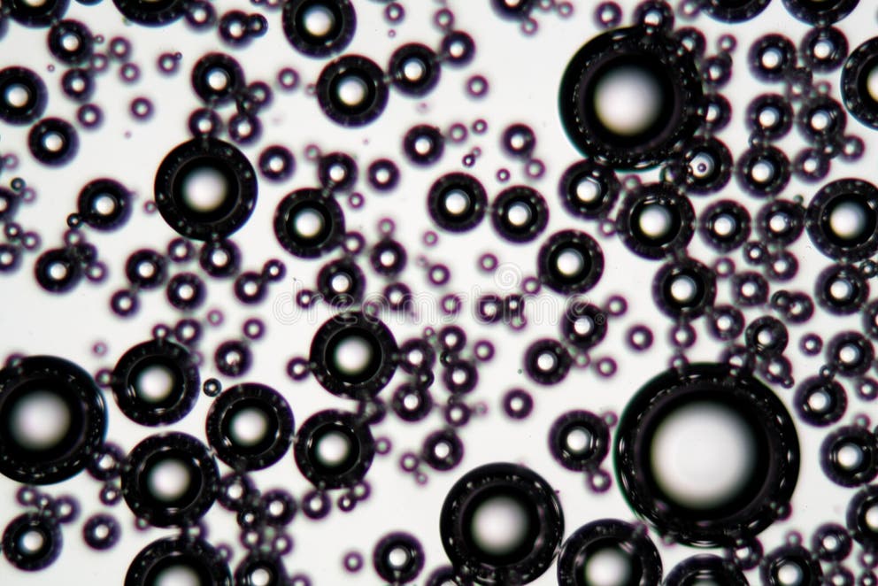 Air Bubbles in an Surfactant Fluid Under a Microscope Stock Photo ...