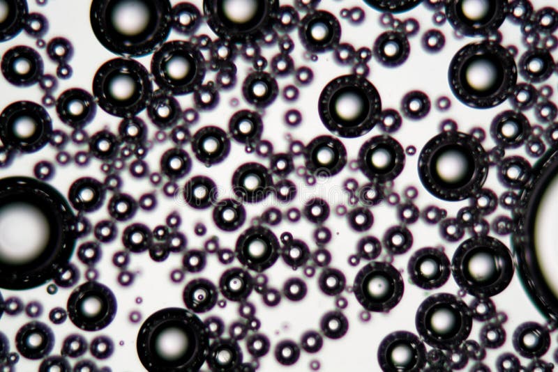 Air Bubbles in an Surfactant Fluid Under a Microscope Stock Photo ...