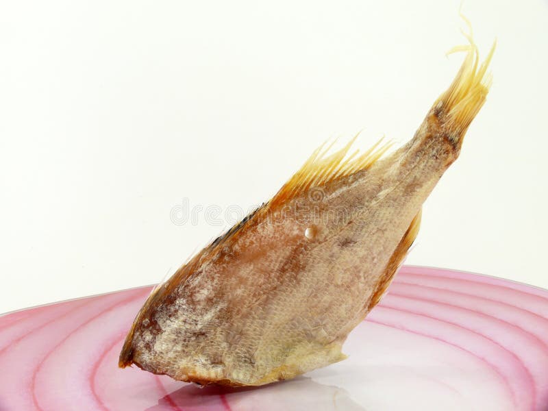 Air dried stock fish stock image. Image of leng, lofoten - 62818547