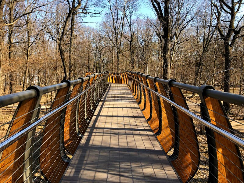 Eco trail stock image. Image of freshness, road, trail - 43520611