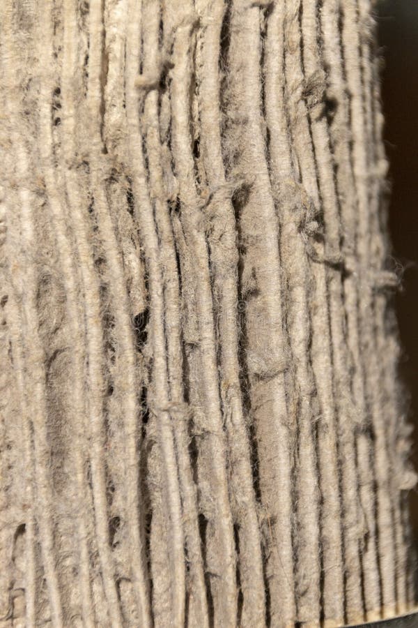 Air Filter stock photo. Image of filter, fluff, used - 154860326