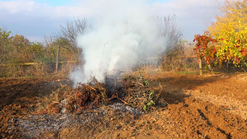 Air Pollution by Burning Garbage at Dump Site. Drone Footage of Burning ...